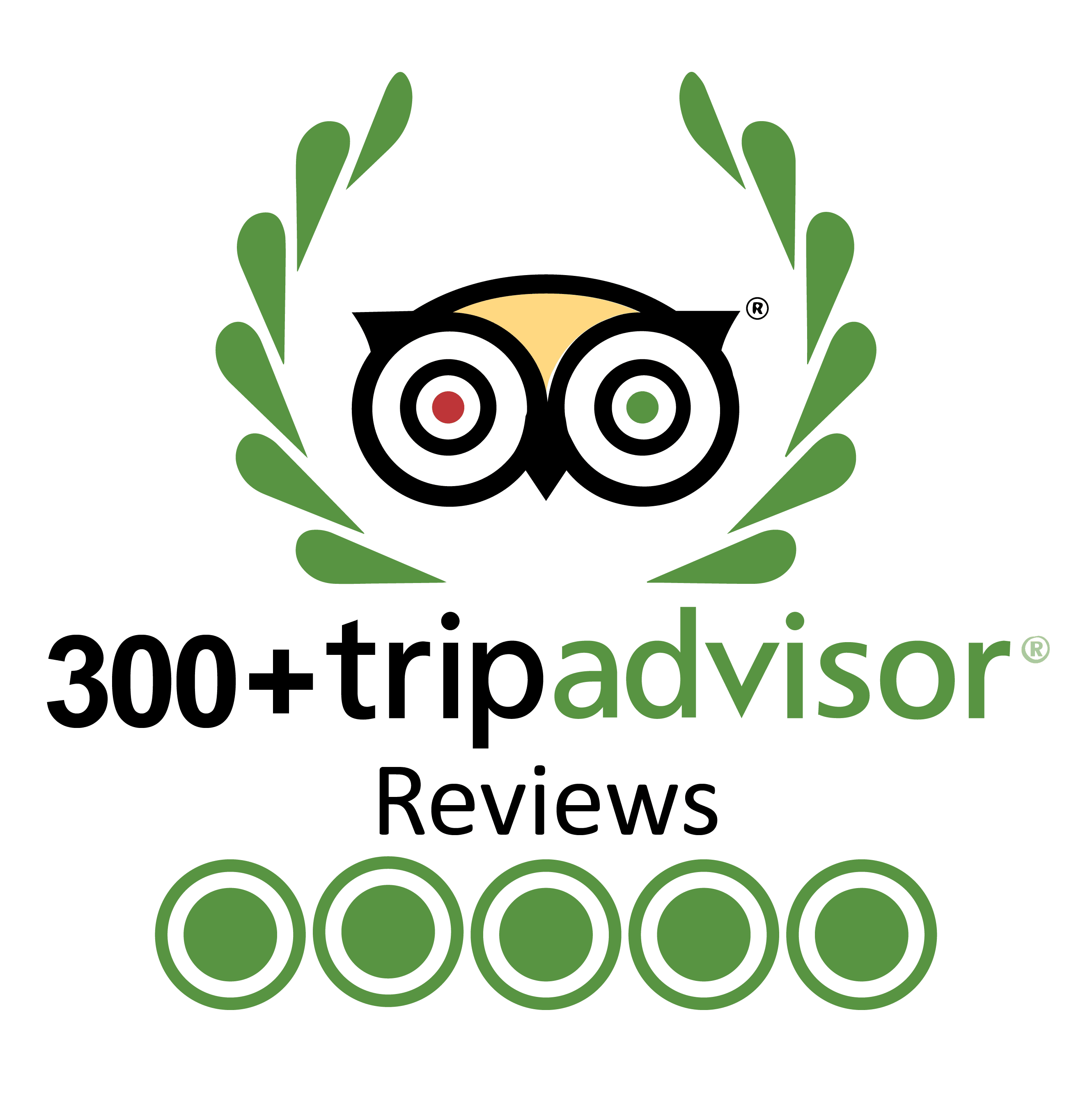 Congo Bongo Ecolodges | Vacation Rentals in Manzanillo Costa Rica