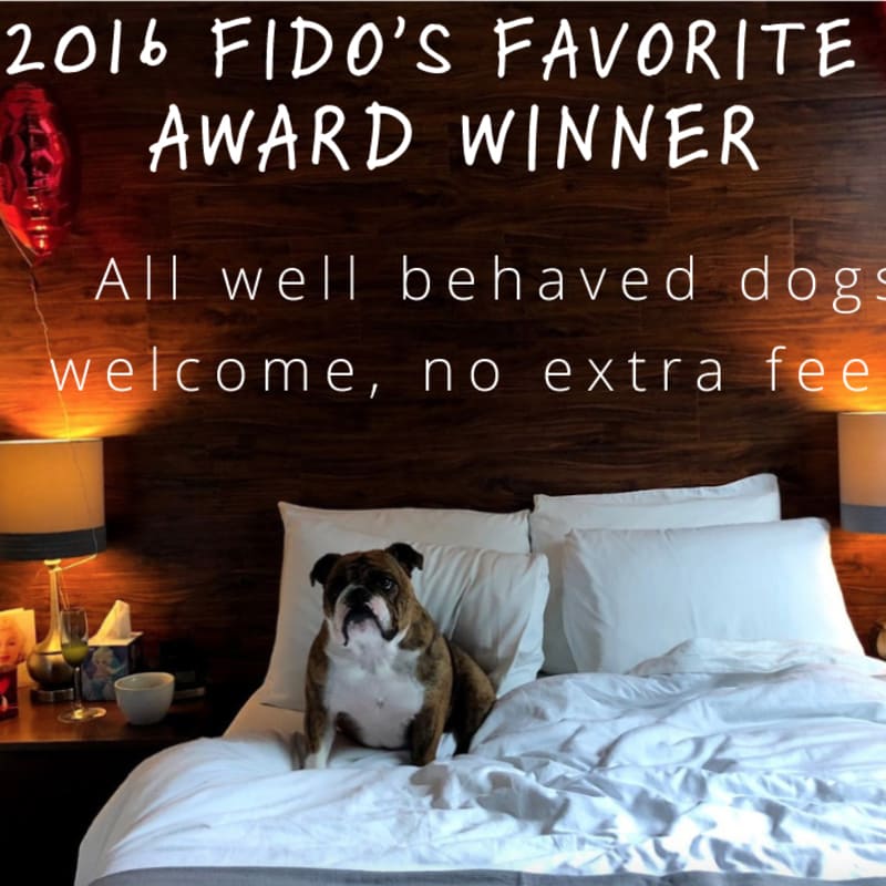 ROOM 903 | Burlington | Made INN Vermont, an Urban-Chic Boutique Bed ...