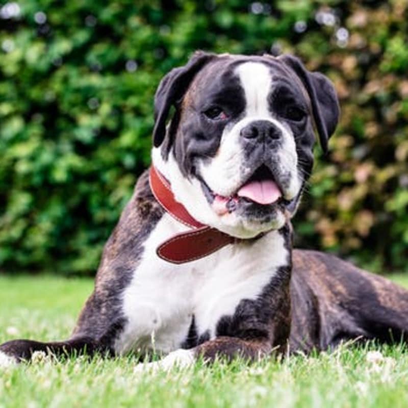 ROOM 906 | Burlington | Made INN Vermont, an Urban-Chic Boutique Bed ...