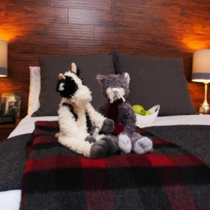 ROOM 903 | Burlington | Made INN Vermont, an Urban-Chic Boutique Bed ...