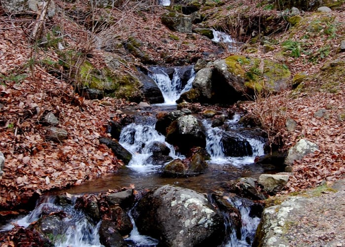 Sugar Tree Inn Bed & Breakfast at Blue Ridge in Vesuvius VA