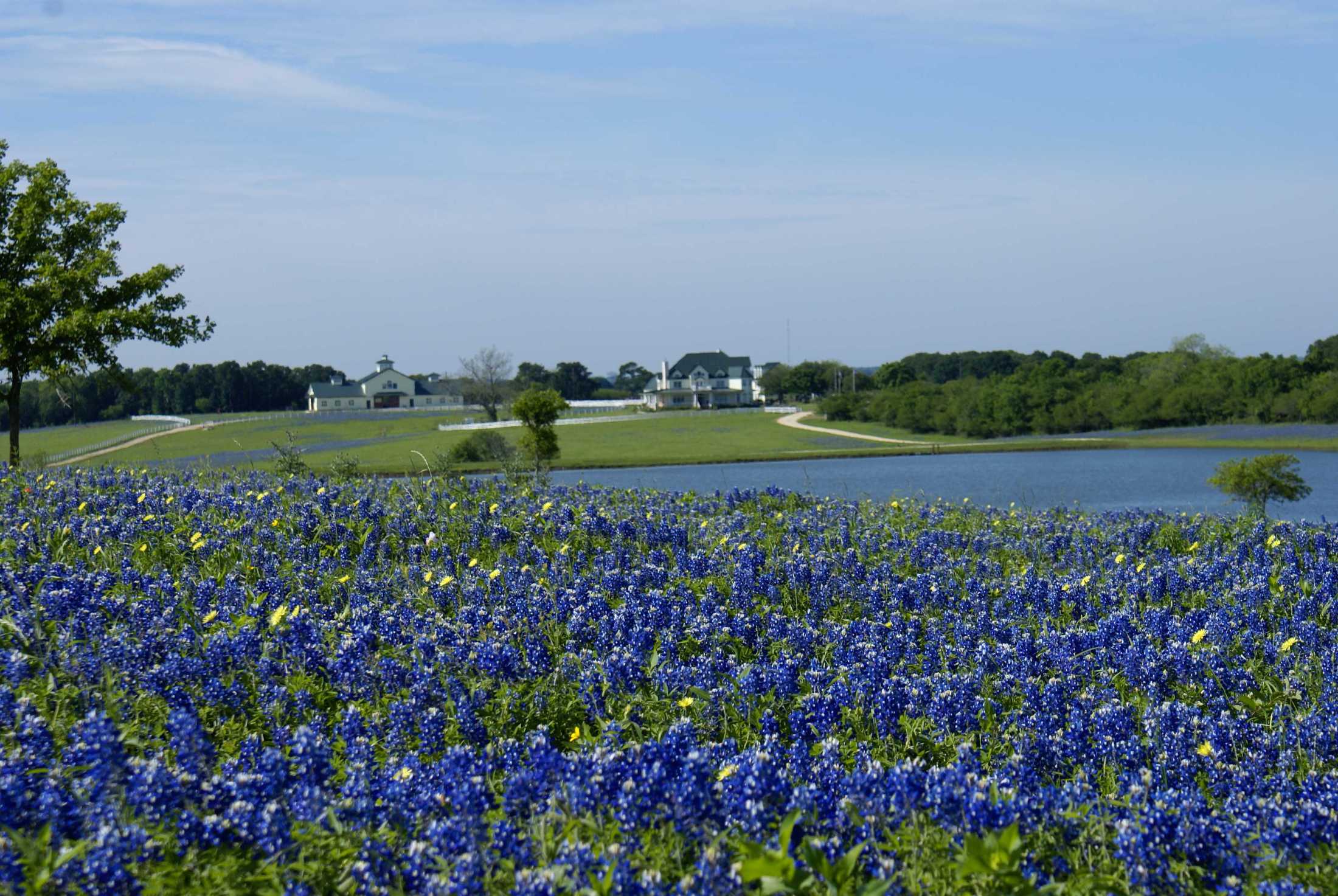Lillian Farms Bed & Breakfast Brenham Texas Lodging Cottages