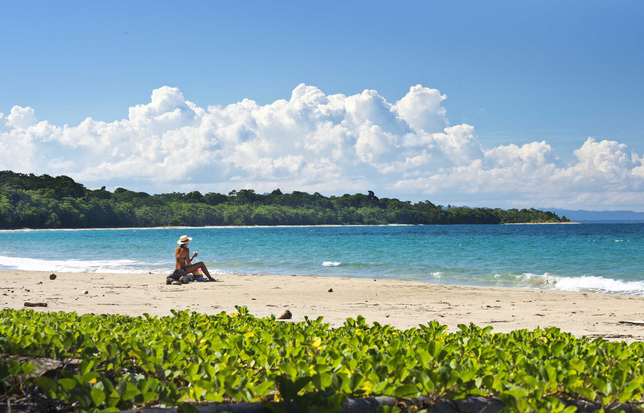 Congo Bongo Ecolodges | Vacation Rentals in Manzanillo Costa Rica