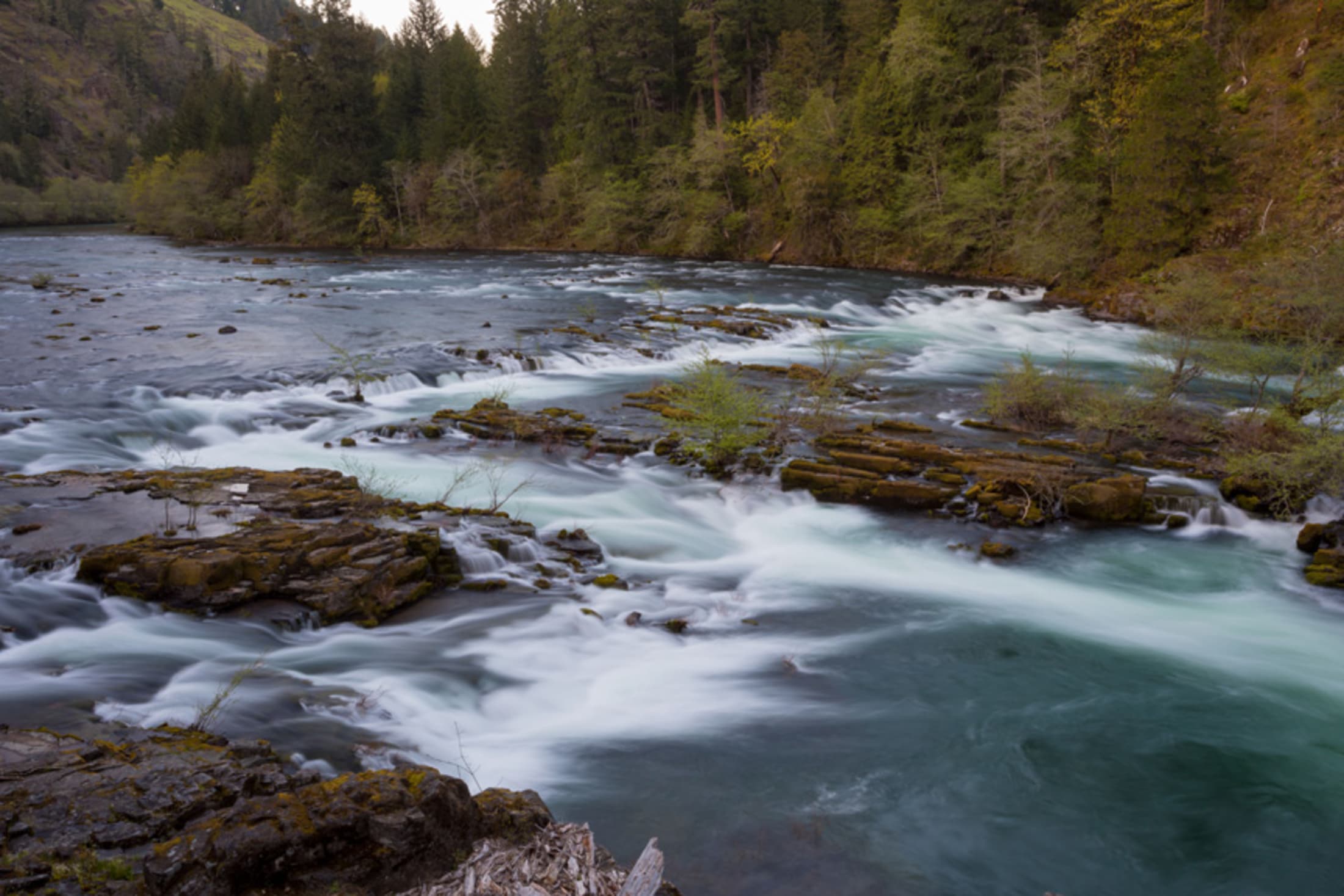 Steamboat Inn | Scenic Lodging on Oregon's Umpqua River