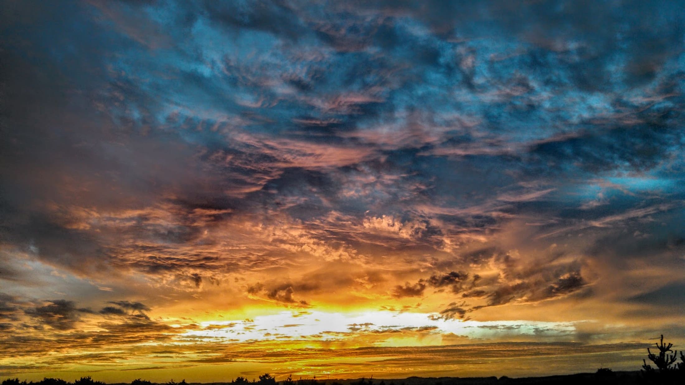 Andersens Oceanside RV Park & Cottages | Long Beach, Washington