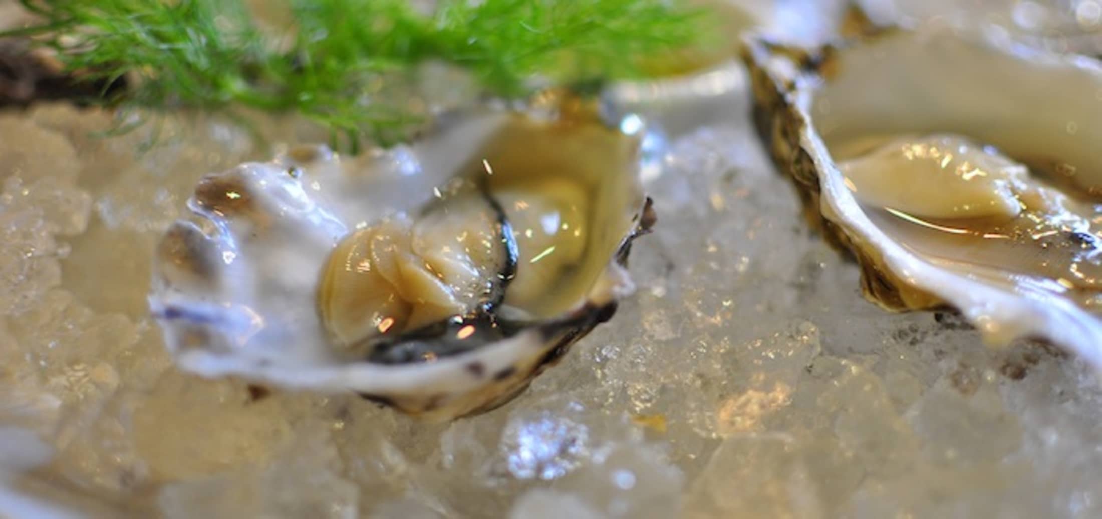 Dining | Inn at Ship Bay on Orcas Island